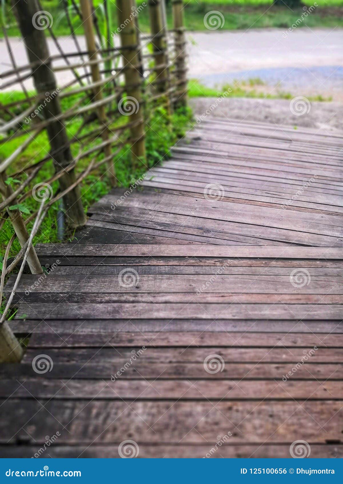 Bamboo walkway on roadside stock photo. Image of leaves - 125100656