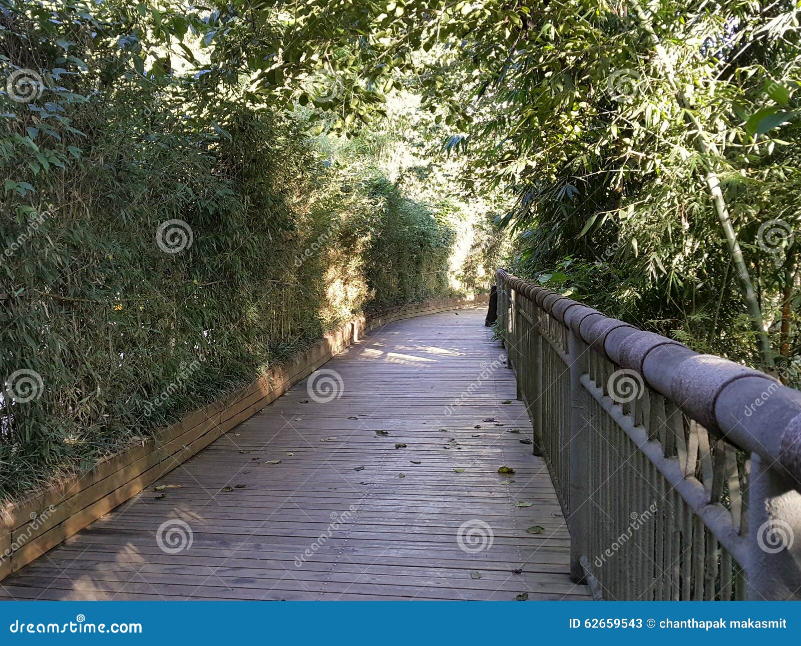 The bamboo walkway. stock image. Image of walkway, filled - 62659543