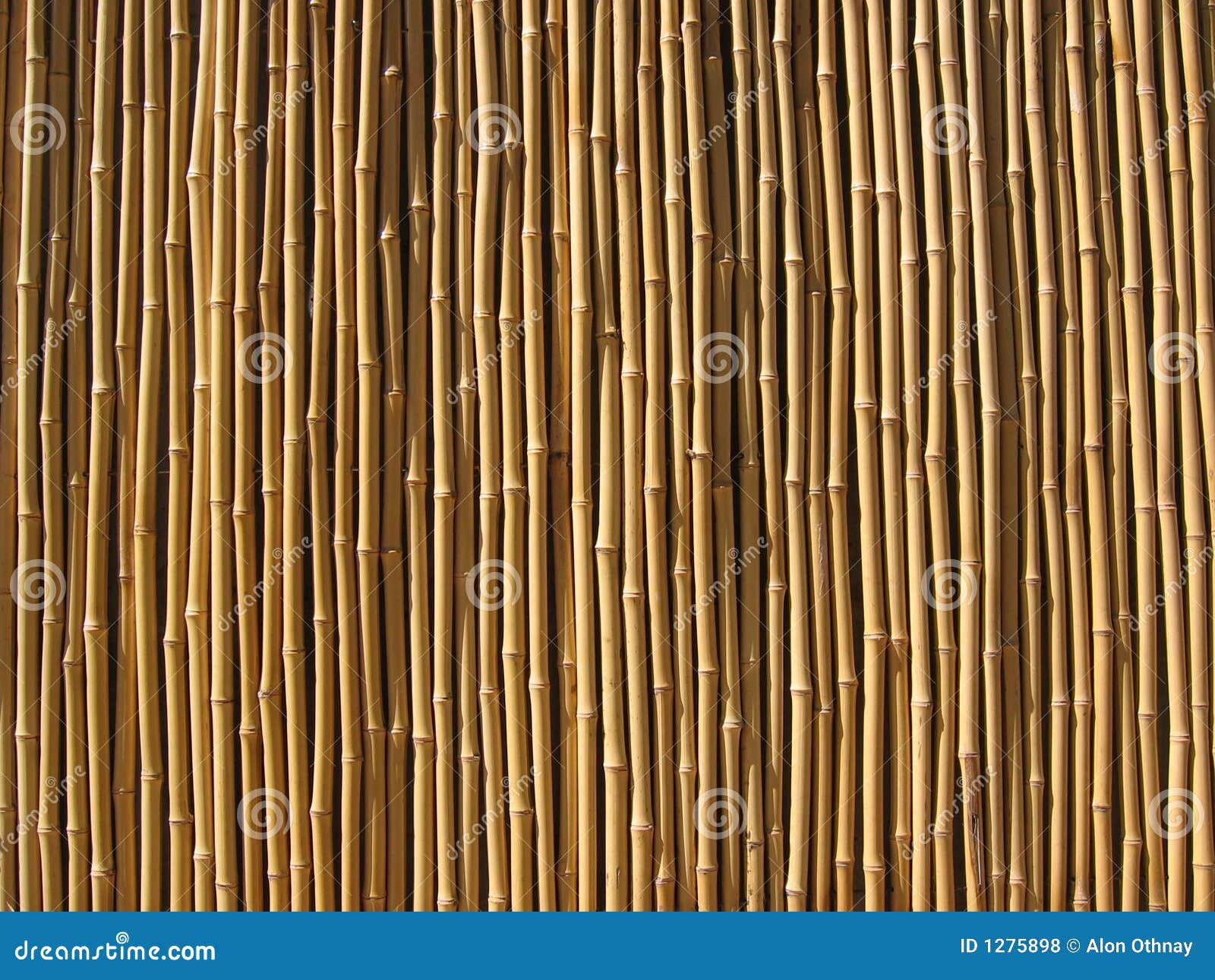Bamboo Wall Texture Background Stock Image | CartoonDealer.com #83280979