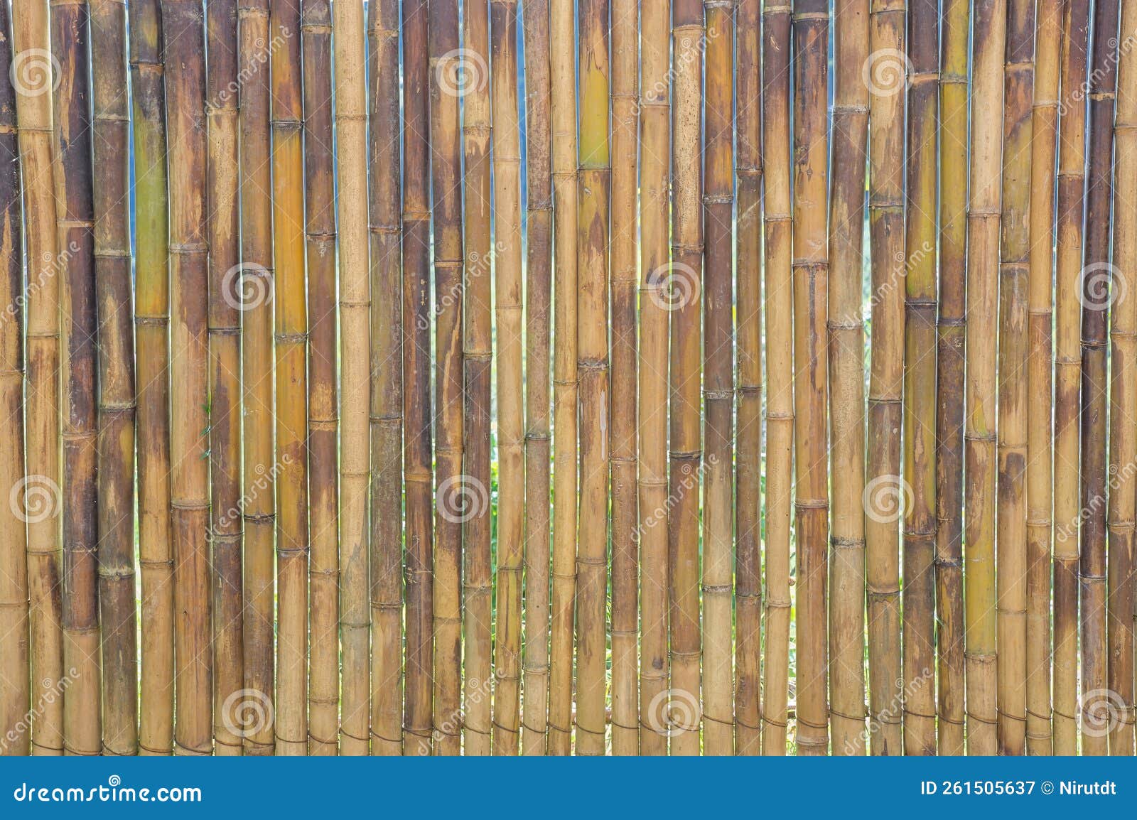Bamboo wall stock image. Image of oriental, garden, plant - 261505637