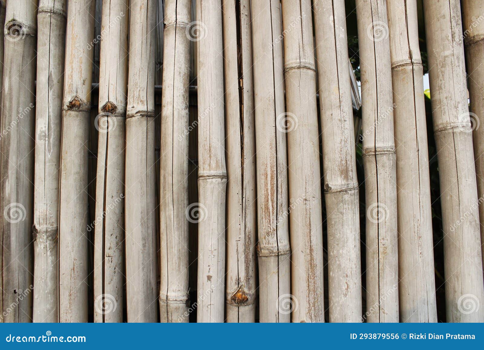 Bamboo wall background stock photo. Image of bamboo - 293879556