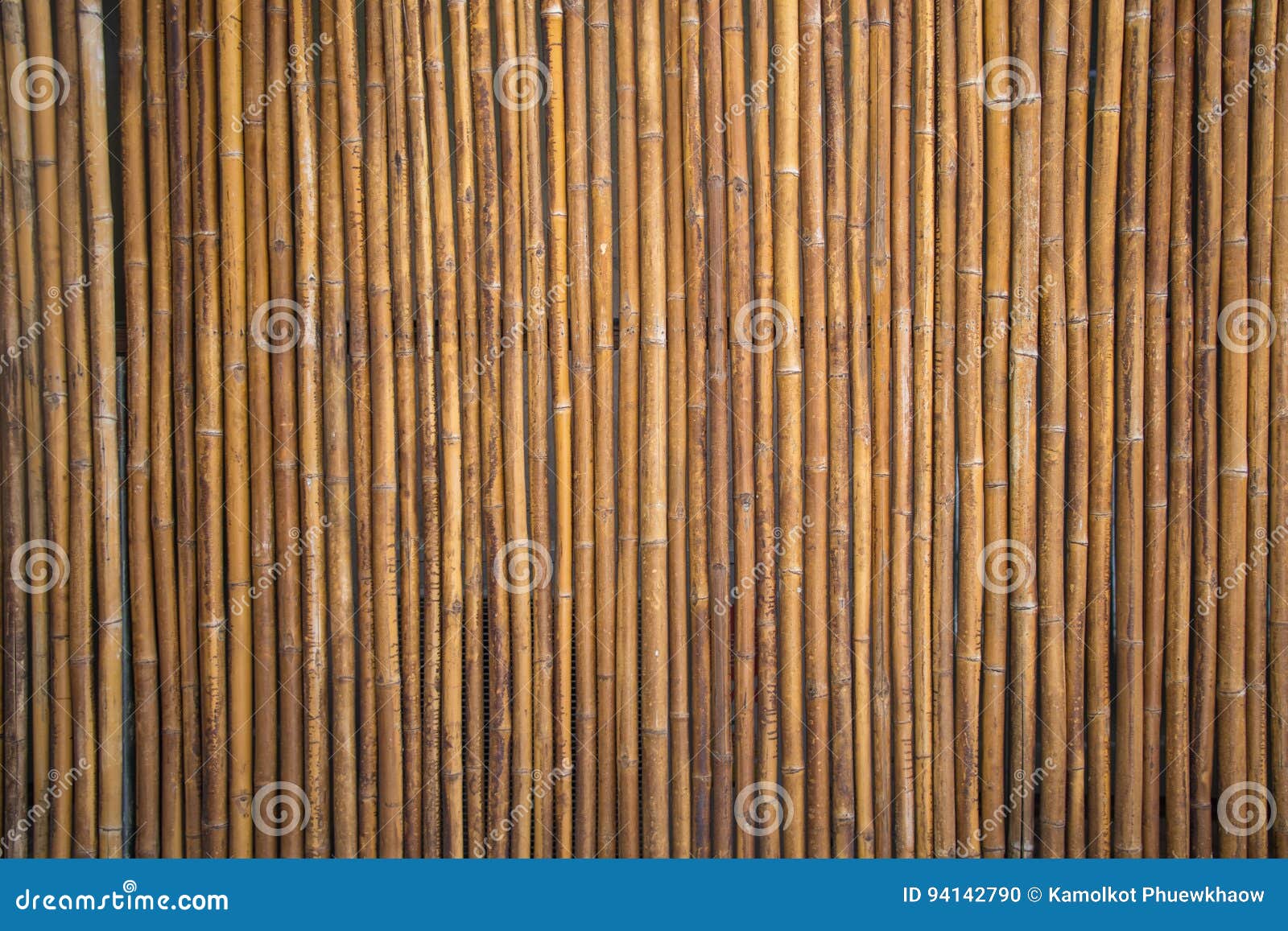 Bamboo Wall or Bamboo Fence Texture Stock Photo - Image of fence ...