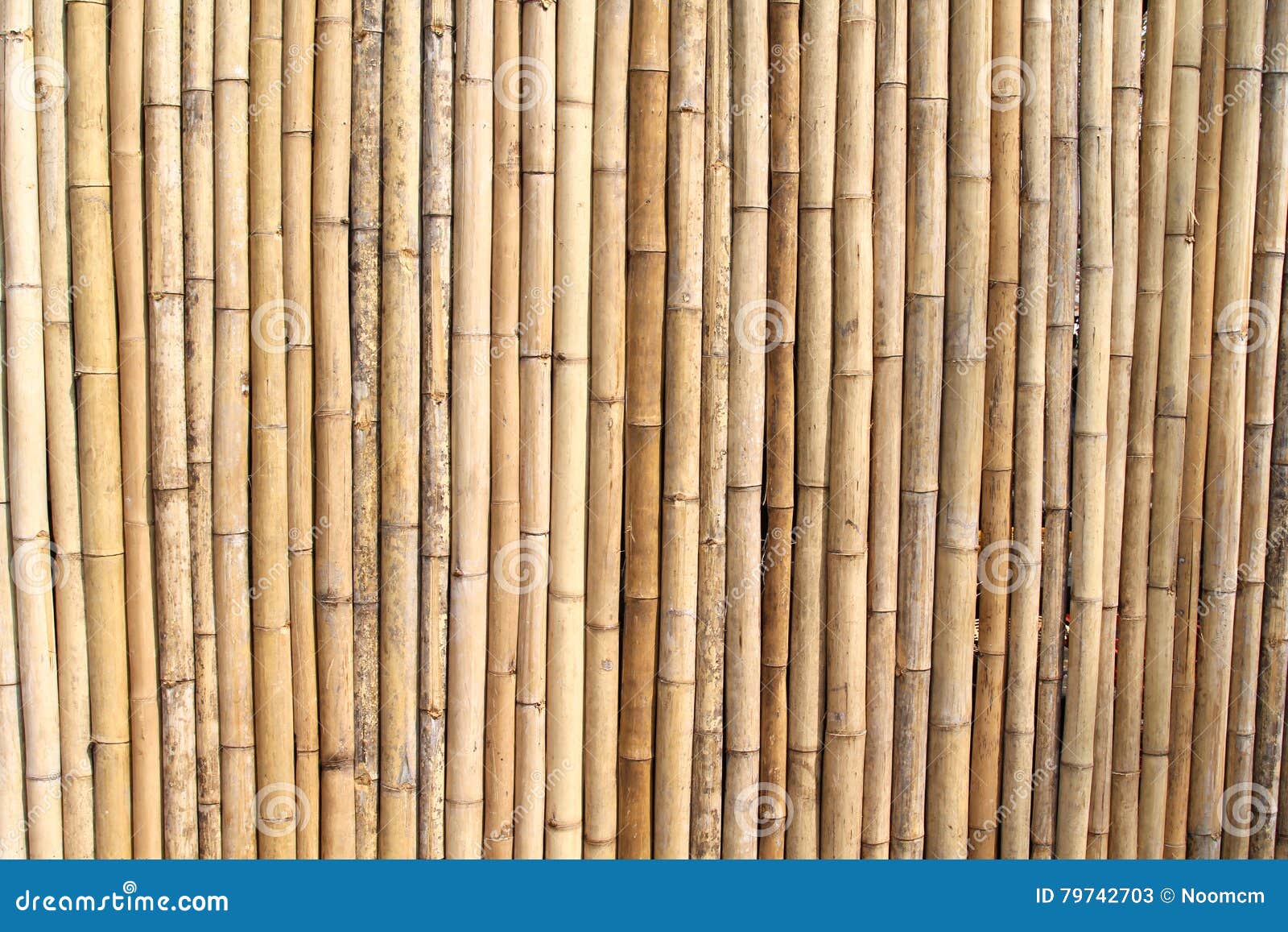 Bamboo wall stock image. Image of branch, texture, building - 79742703