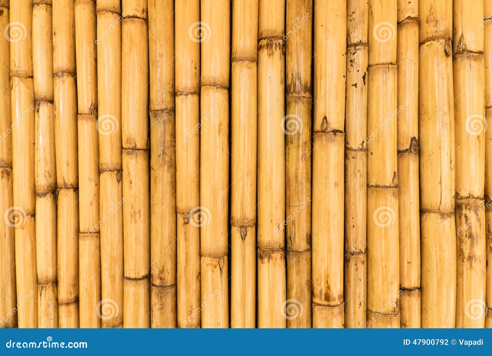 Bamboo wall stock photo. Image of japanese, traditional - 47900792