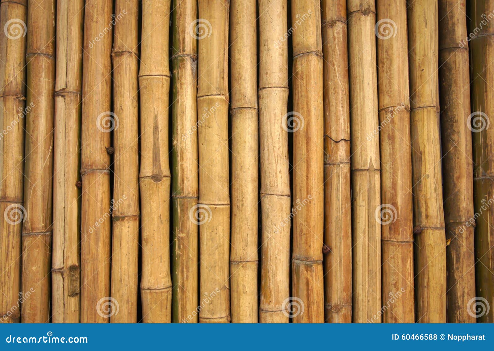 Bamboo Wall Design