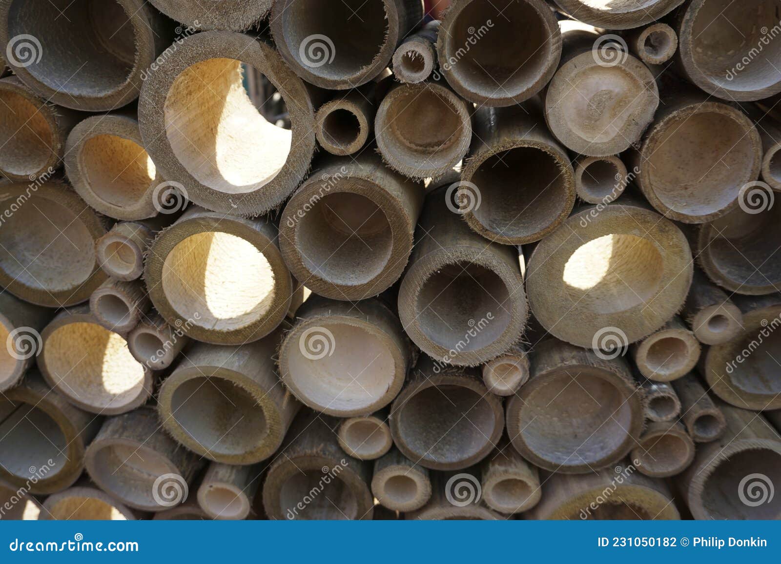 Bamboo Wall Made from Native Bamboo Plants Asia Stock Photo - Image of ...