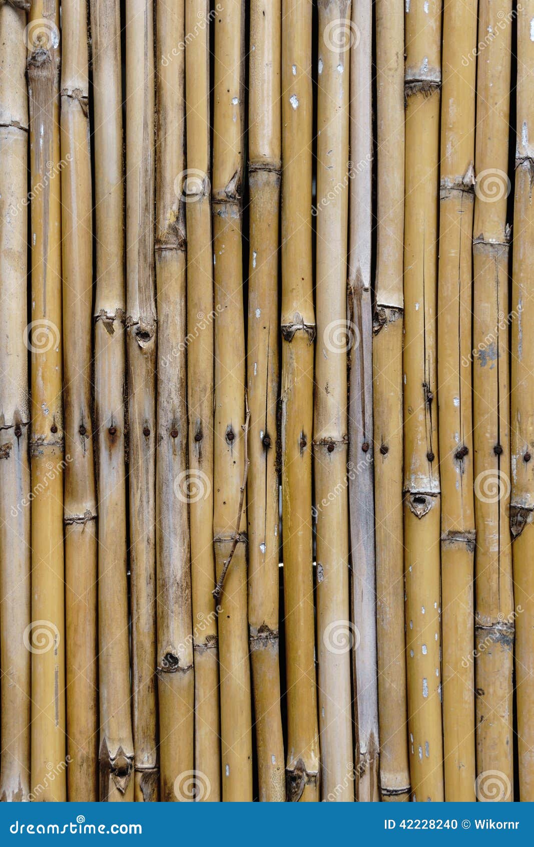 Bamboo wall stock photo. Image of natural, bundle, organic - 42228240