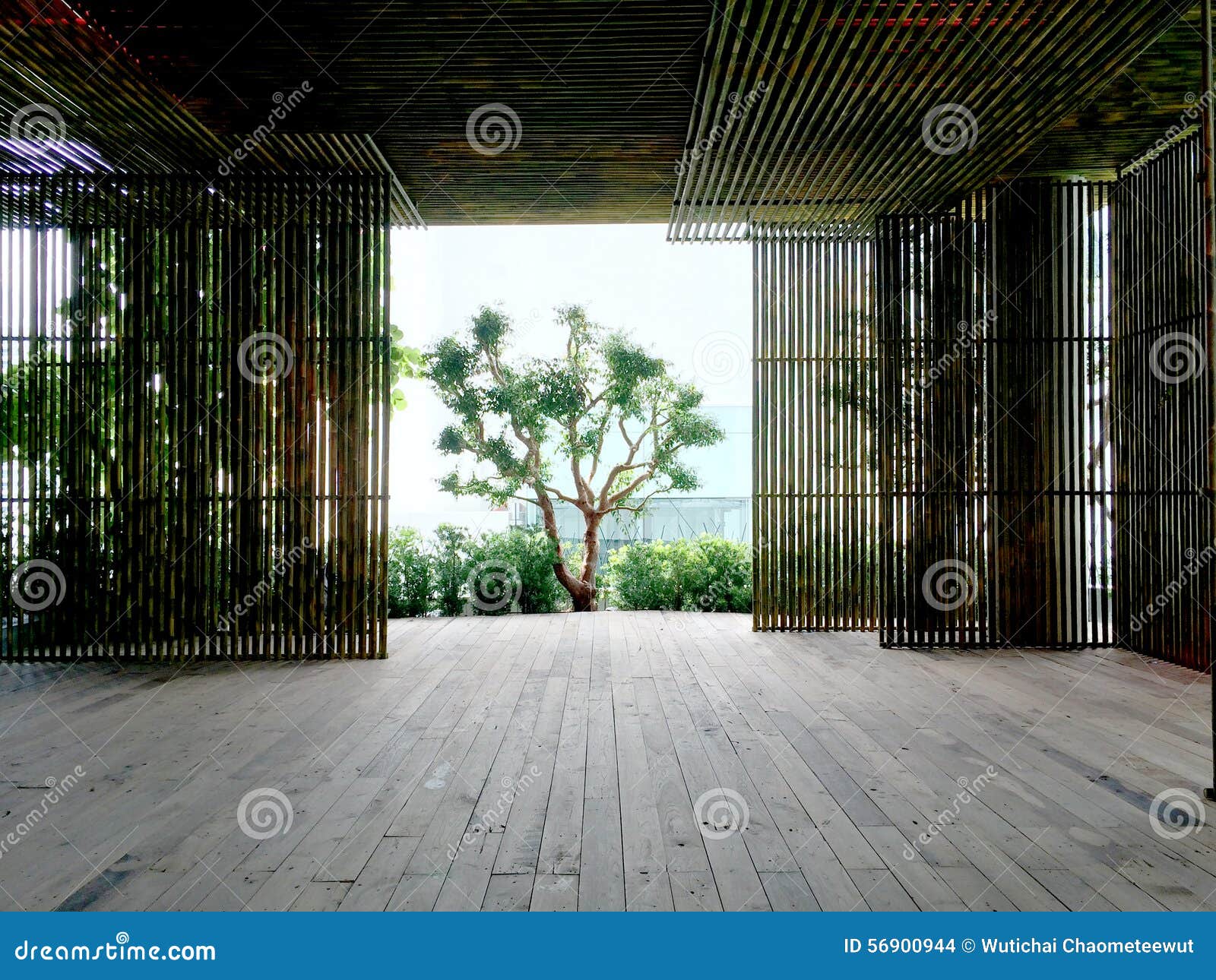 Bamboo wall space room stock photo. Image of fence, asian - 56900944