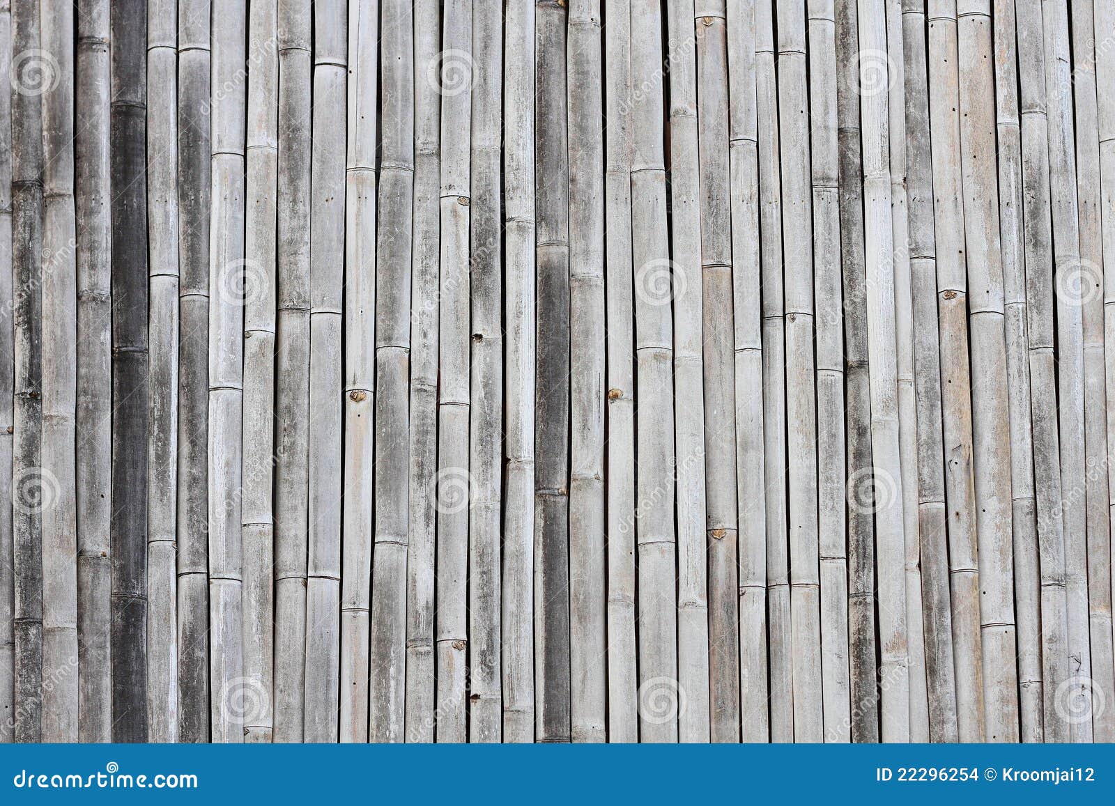 Bamboo wall texture stock photo. Image of pipes, line - 22296254