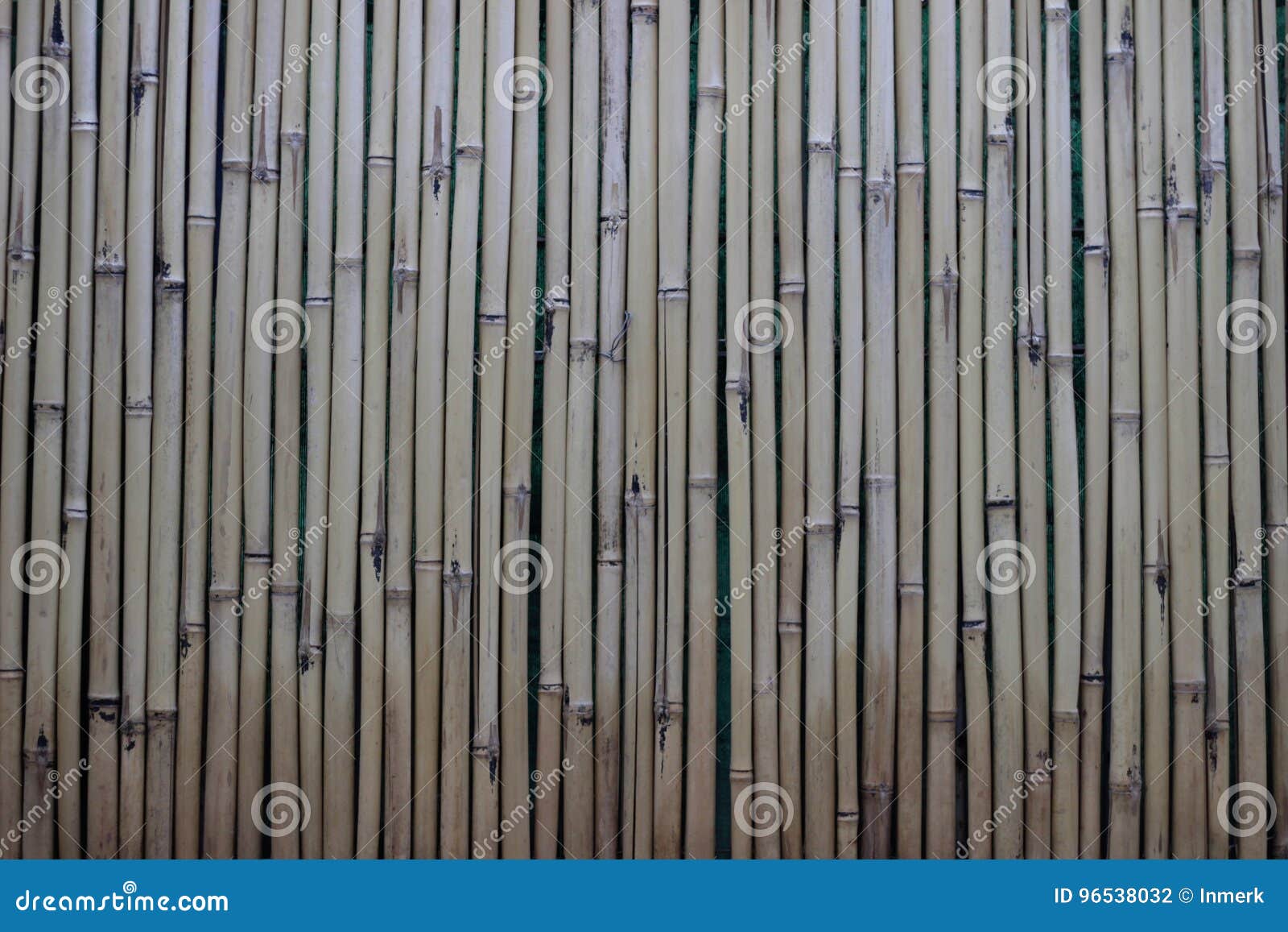 Bamboo Wall Texture Stock Photo | CartoonDealer.com #96538032