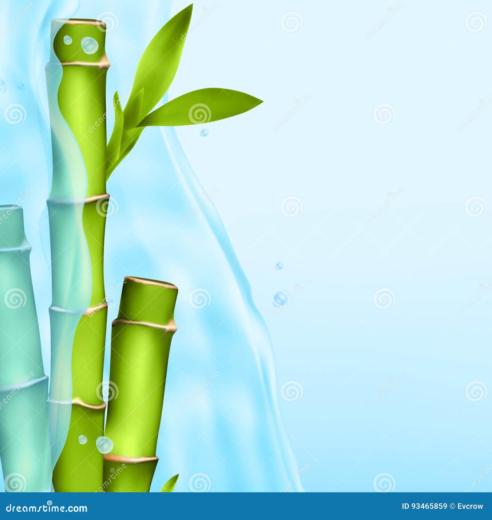Bamboo in a water splash stock vector. Illustration of plant - 93465859