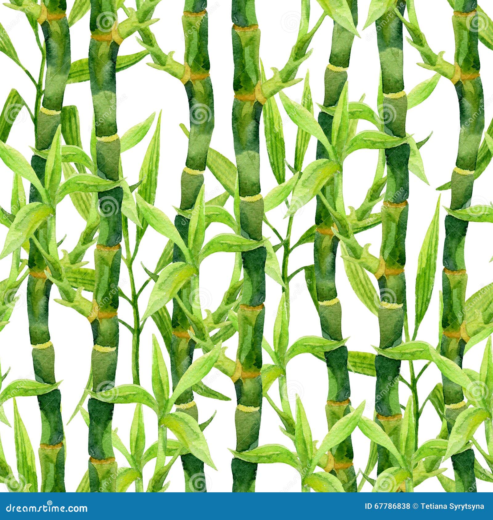 Bamboo Watercolor Seamless Pattern Stock Illustration - Illustration of ...
