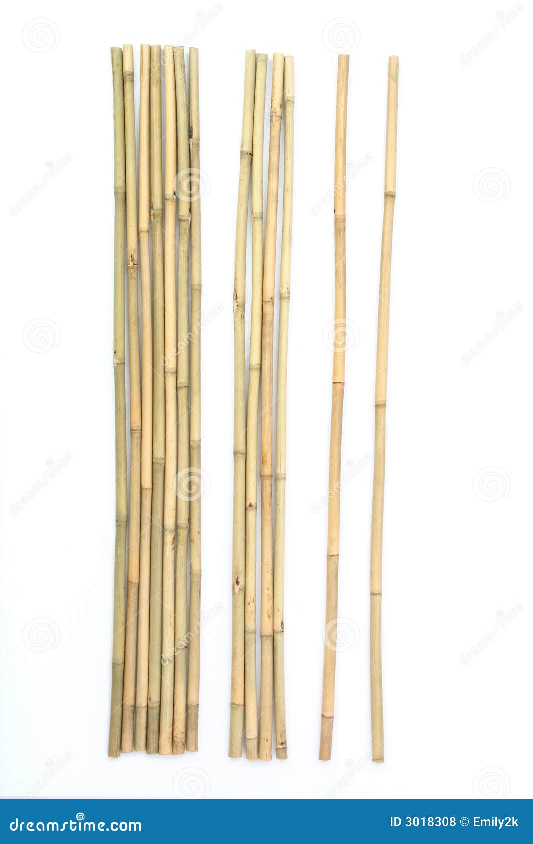 Bamboo on white background stock photo. Image of bamboo - 3018308