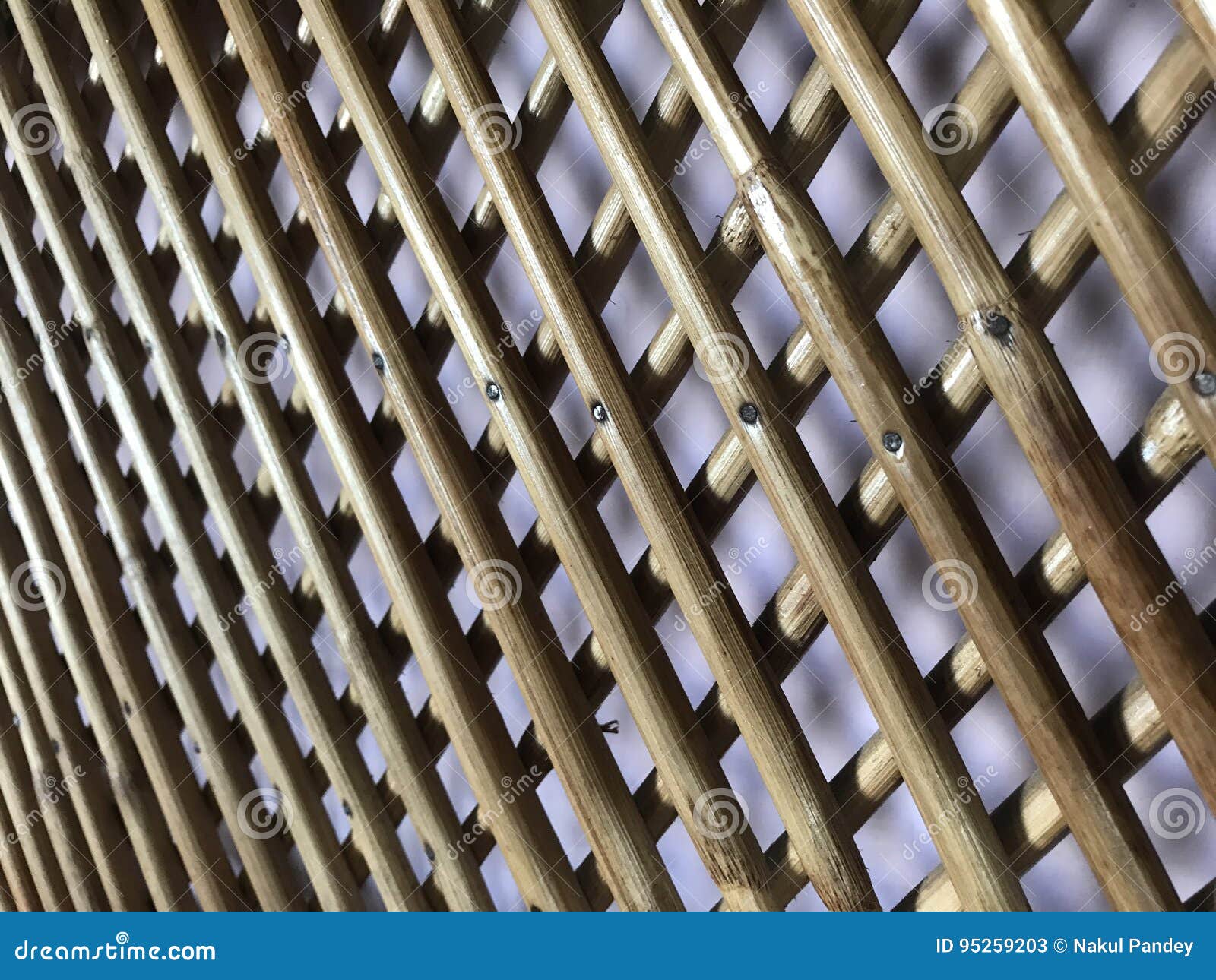 Bamboo stock image. Image of desigene, bamboo, windows - 95259203