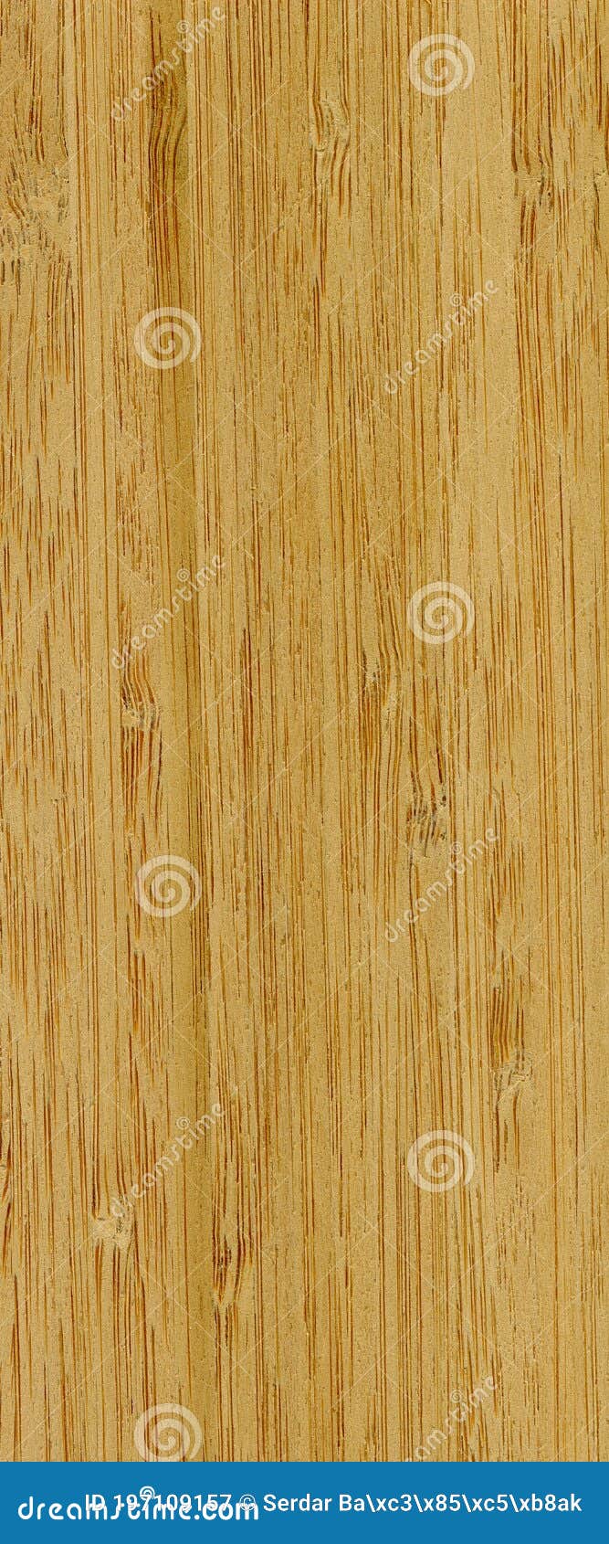 Bamboo Wood, Can Be Used As Background, Wood Grain Texture Stock Image ...