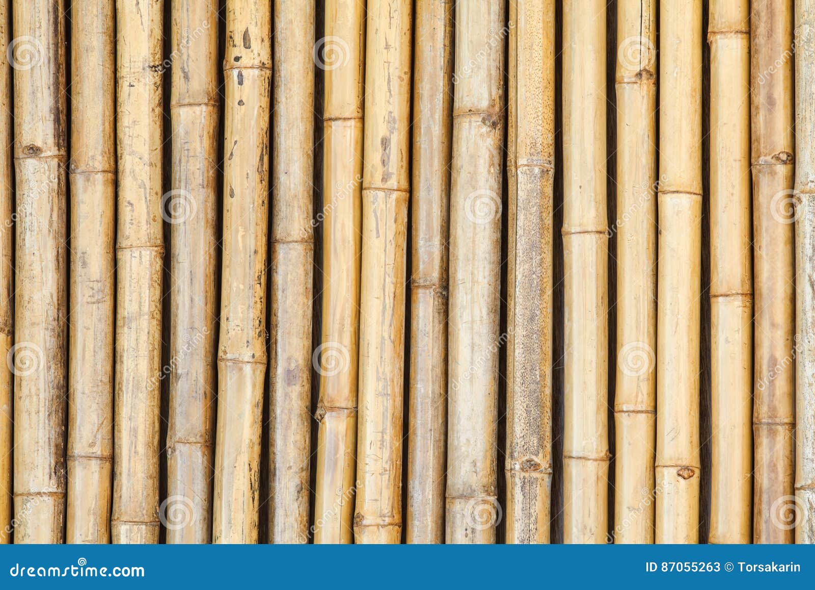 Bamboo Wood Fence Background Stock Image - Image of background, line ...