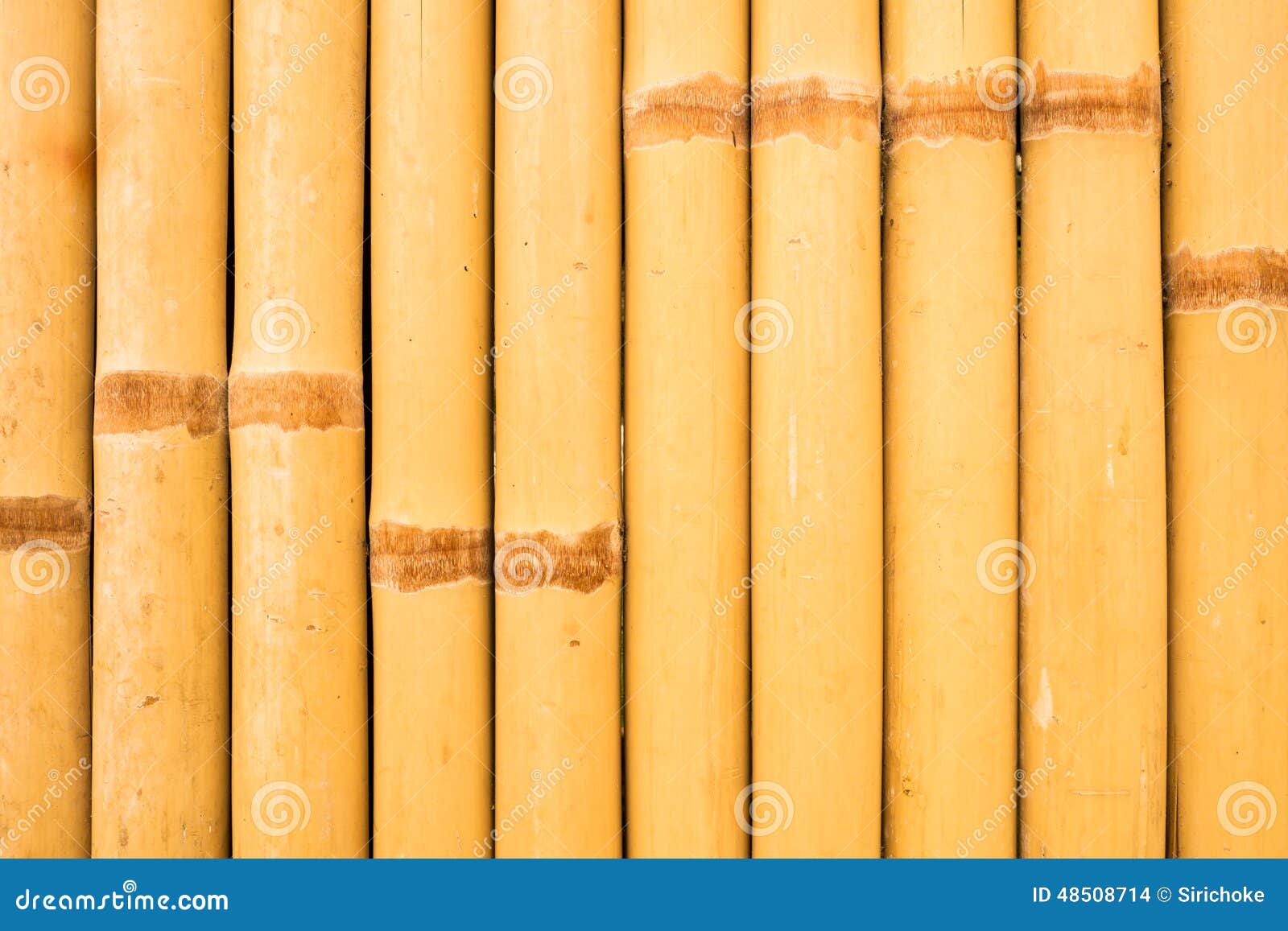 Bamboo Wooden Round Stand In Top View Isolated On Dark Background ...