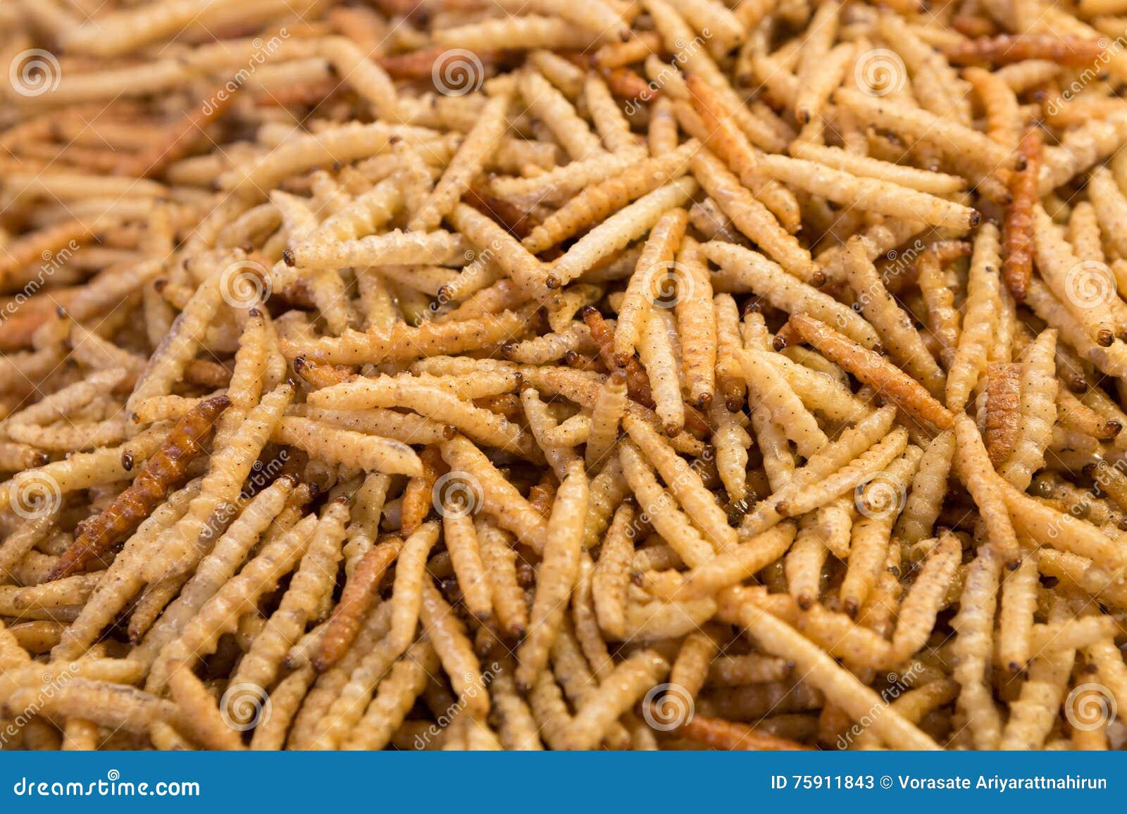 Bamboo worm fried food stock image. Image of market, snack - 75911843