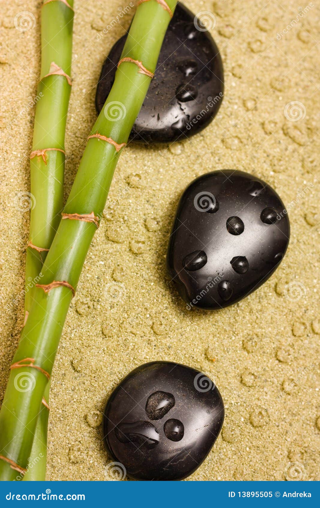 Bamboo and zen stones stock image. Image of peace, care - 13895505