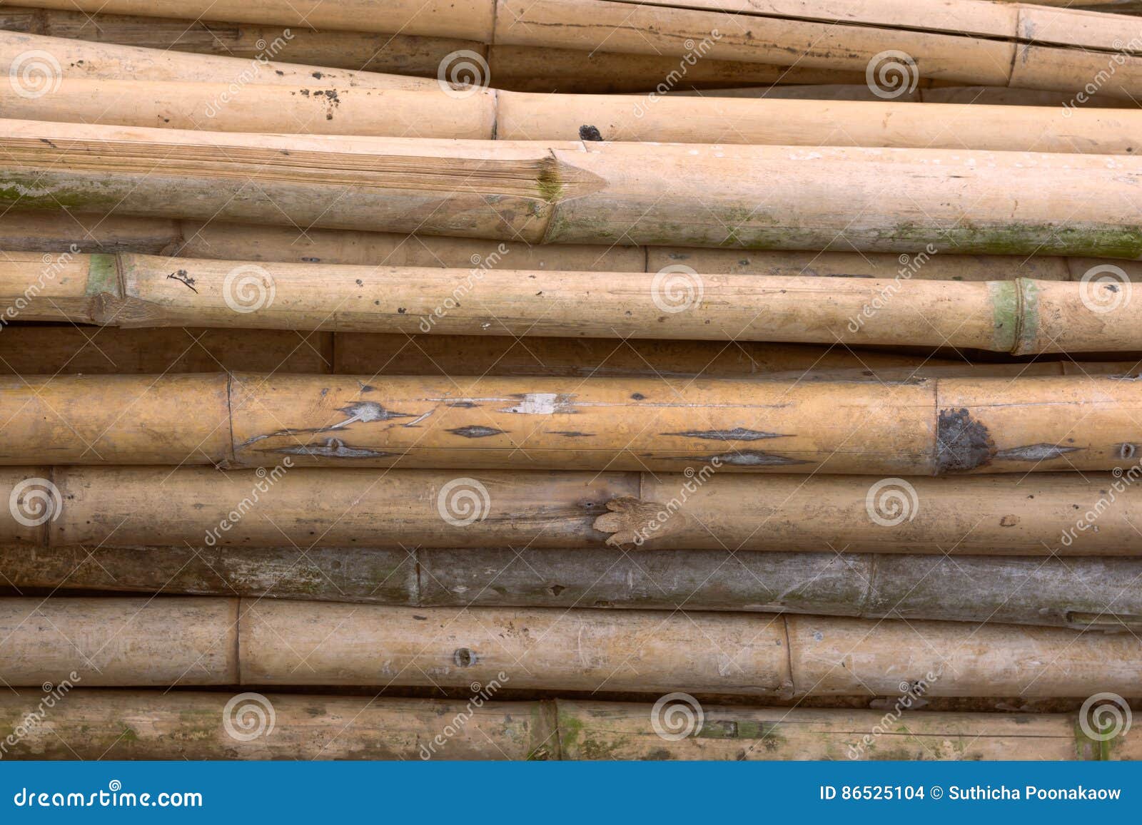 Bamboom Texture stock photo. Image of culture, forest - 86525104