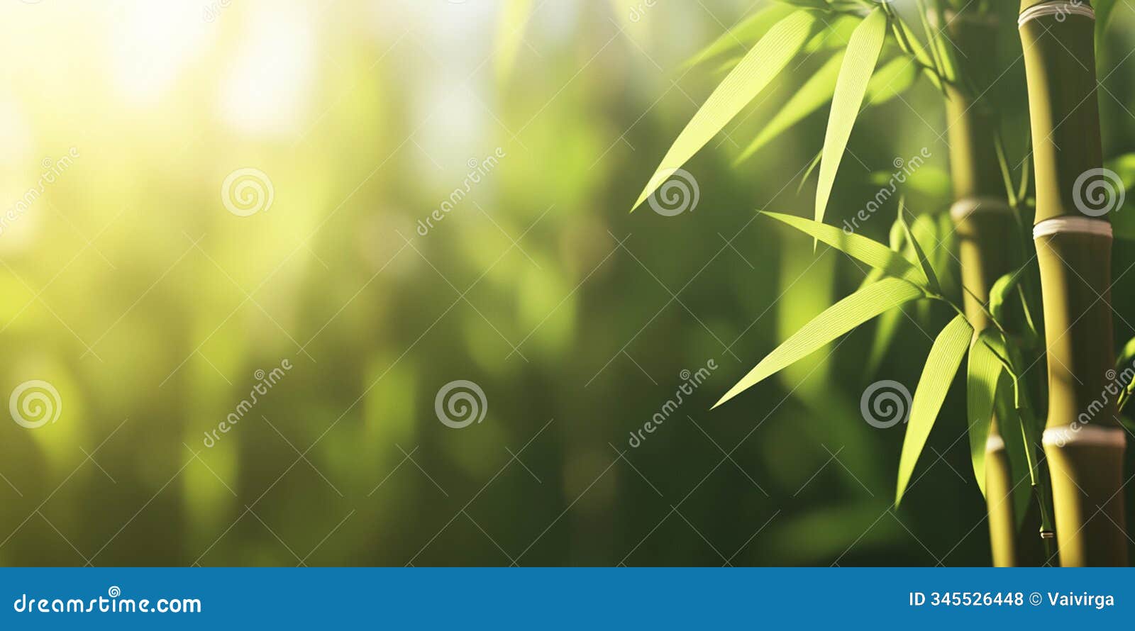 Bamboo Border On Chinese Wallpaper Vector Illustration | CartoonDealer ...