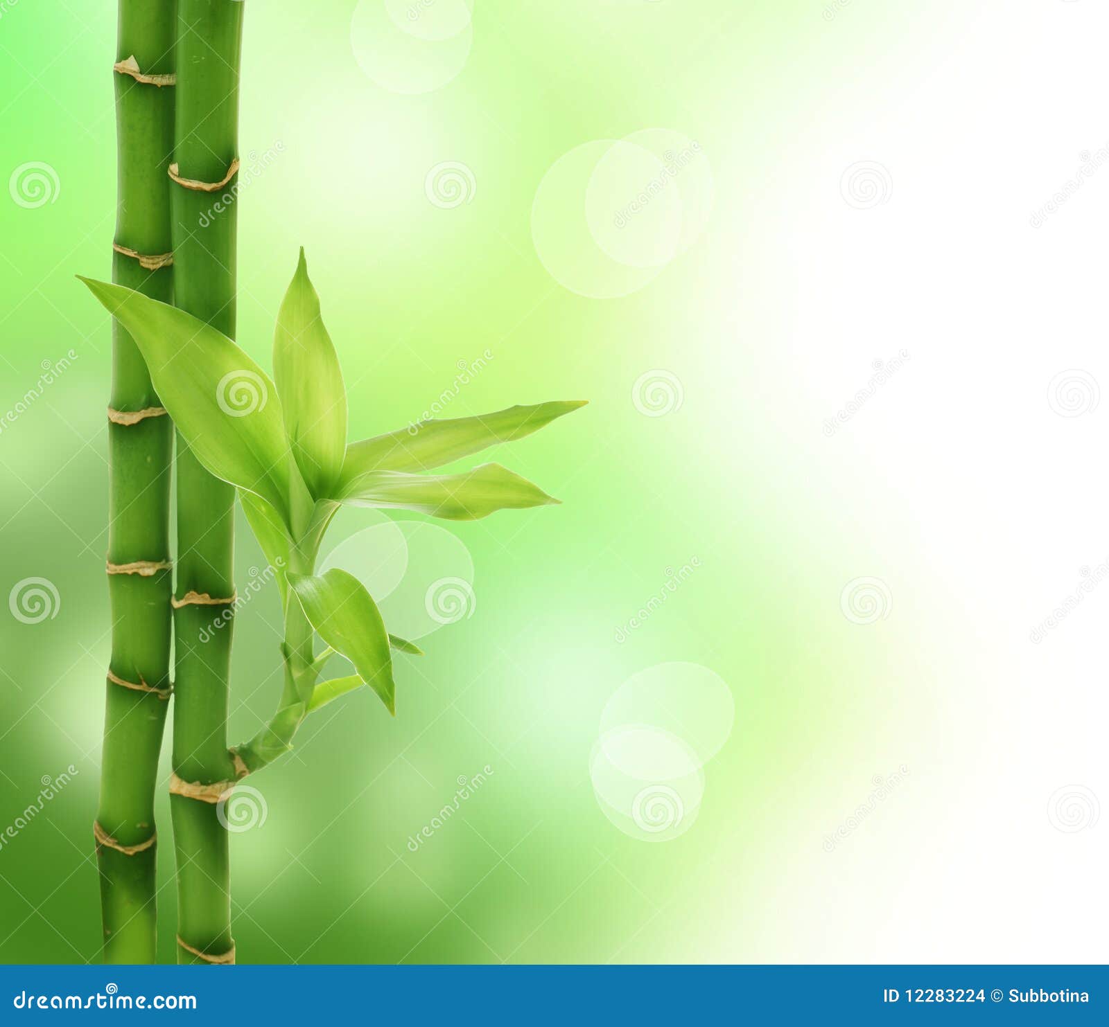 Bambou photo stock. Image du collage, abstrait, orientation - 12283224