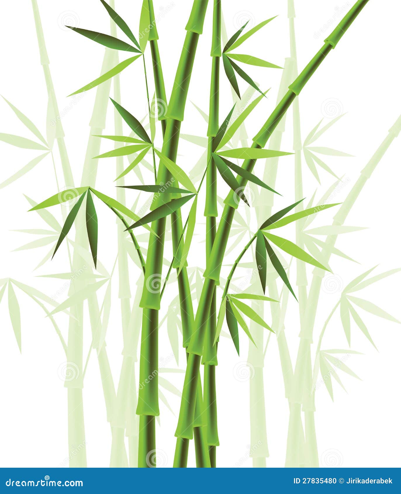 Bambu vektor illustrationer. Illustration av japan, blad - 27835480