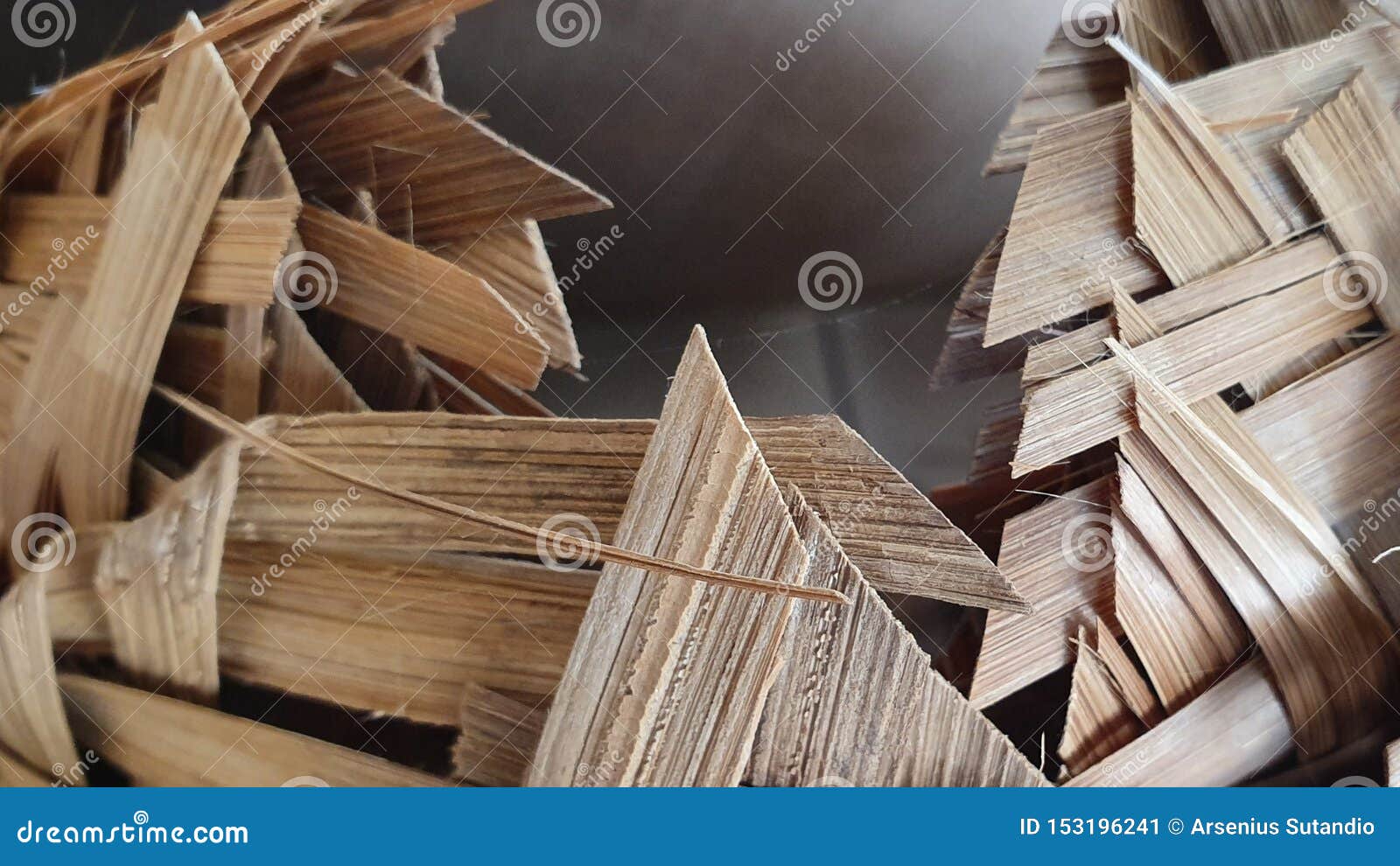 Bambu quebrado imagem de stock. Imagem de projeto, marrom - 153196241