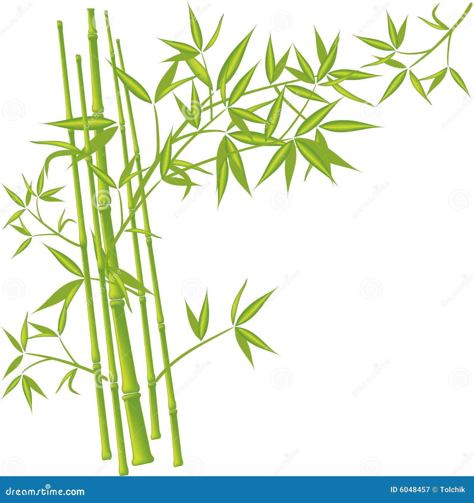 Bambu, vetor ilustração do vetor. Ilustração de nave, folha - 6048457