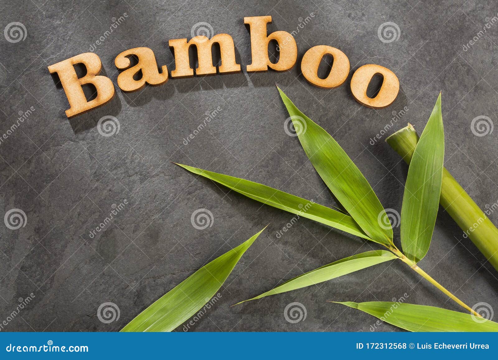 Bambusoideae Bambu, Em Letras De Madeira Foto de Stock - Imagem de ...