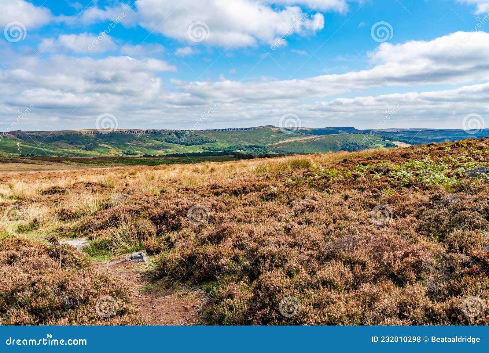 Bamford Edge stock photo. Image of cliff, field, english - 232010298