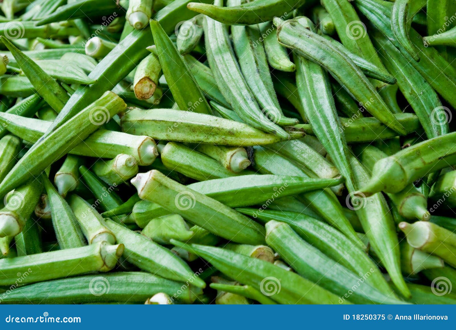 Bamia stock image. Image of bunch, close, heap, pile - 18250375