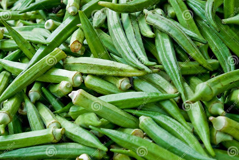 Bamia stock image. Image of bunch, close, heap, pile - 18250375