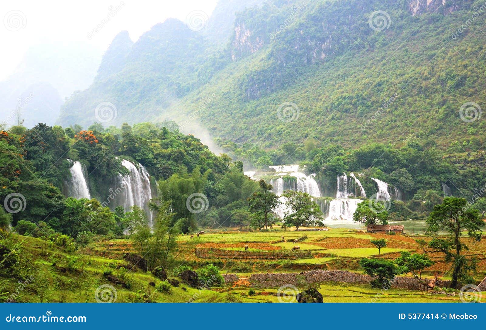 Ban Gioc waterfall stock photo. Image of holiday, dive - 5377414