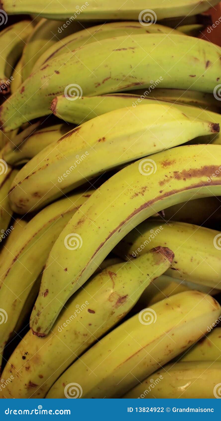 Banan arkivfoto. Bild av näring, nytt, organiskt, blad - 13824922