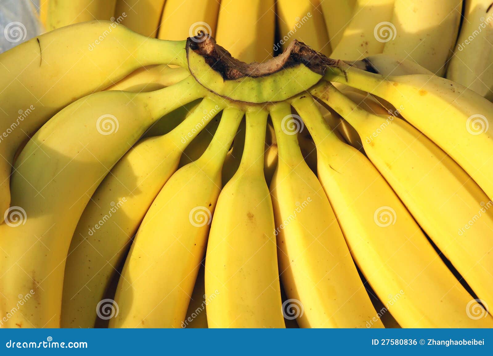 Banan arkivfoto. Bild av frukt, tropiskt, moget, äta - 27580836
