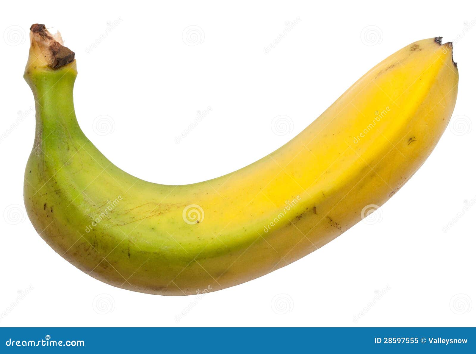 Banan fotografering för bildbyråer. Bild av uppförande - 28597555