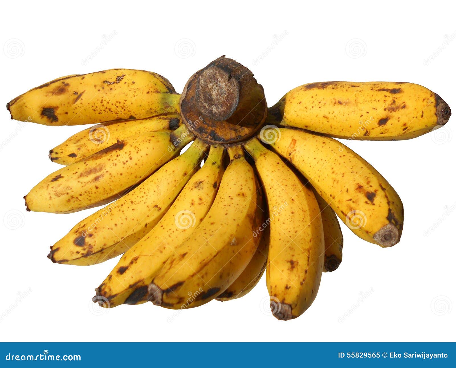 Banan Fuit fotografering för bildbyråer. Bild av format - 55829565