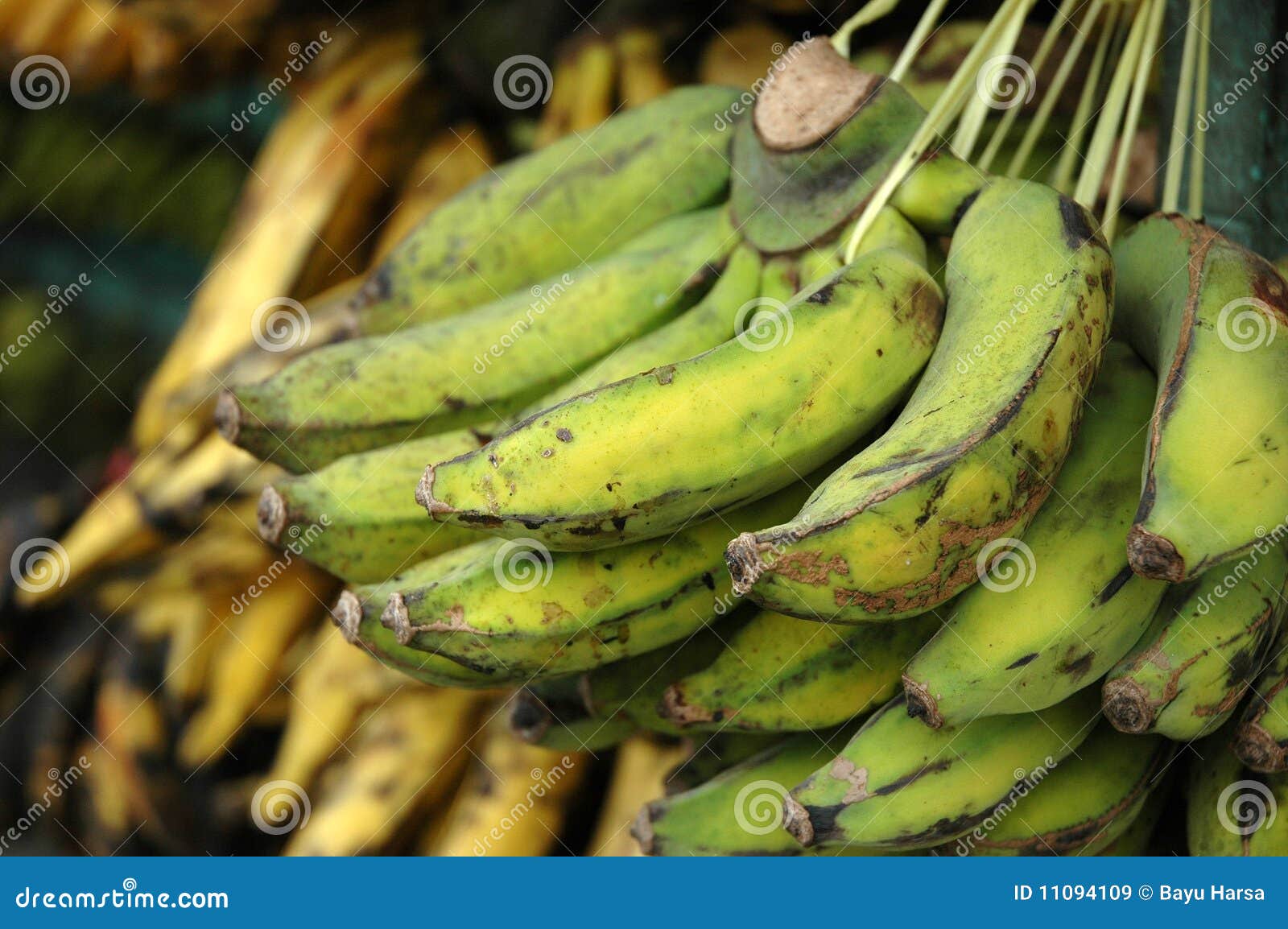 Banana stock image. Image of vitamin, matoke, fresh, commodity - 11094109