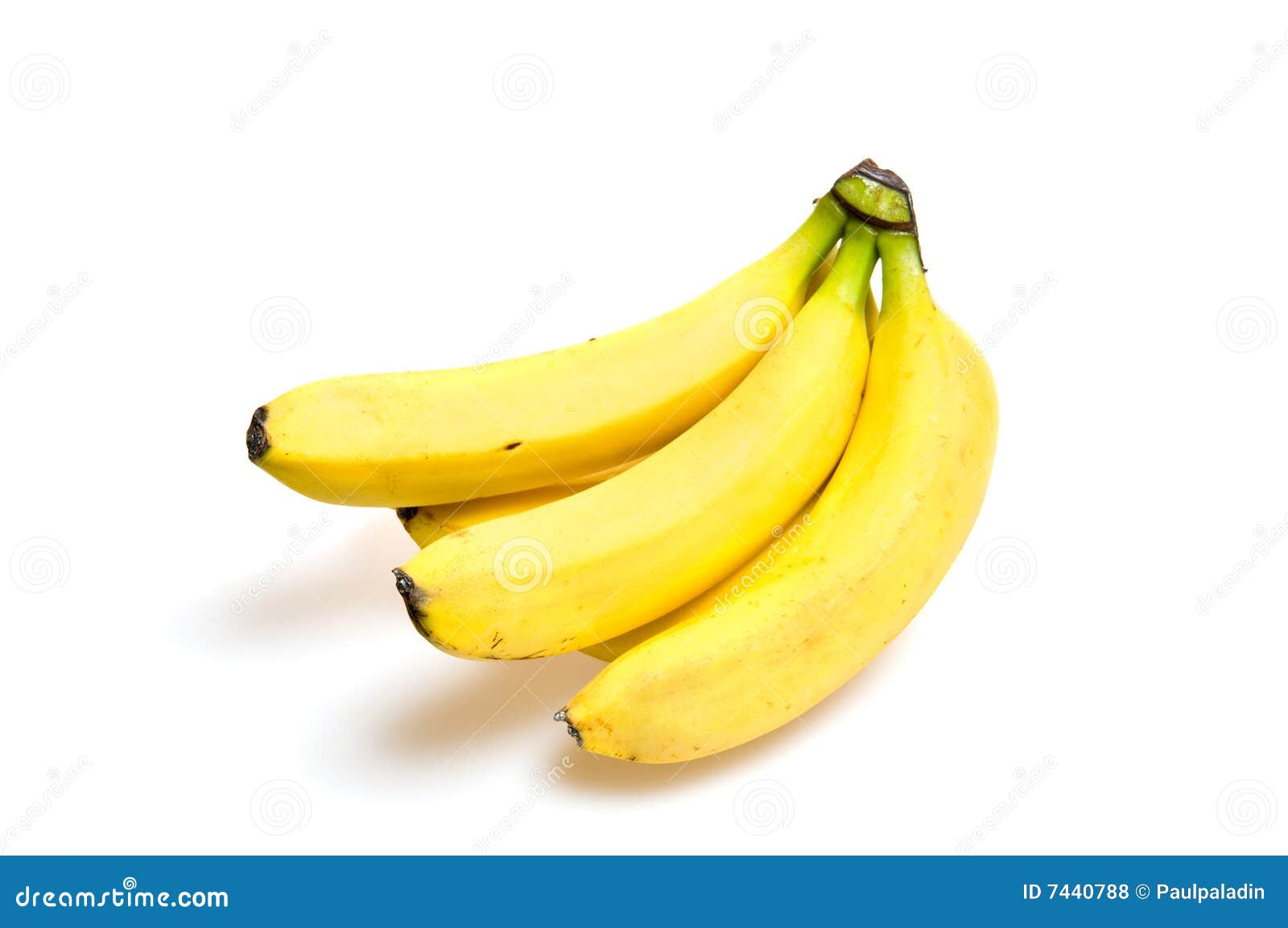 Banana branch stock photo. Image of fresh, yellow, vegetarian - 7440788