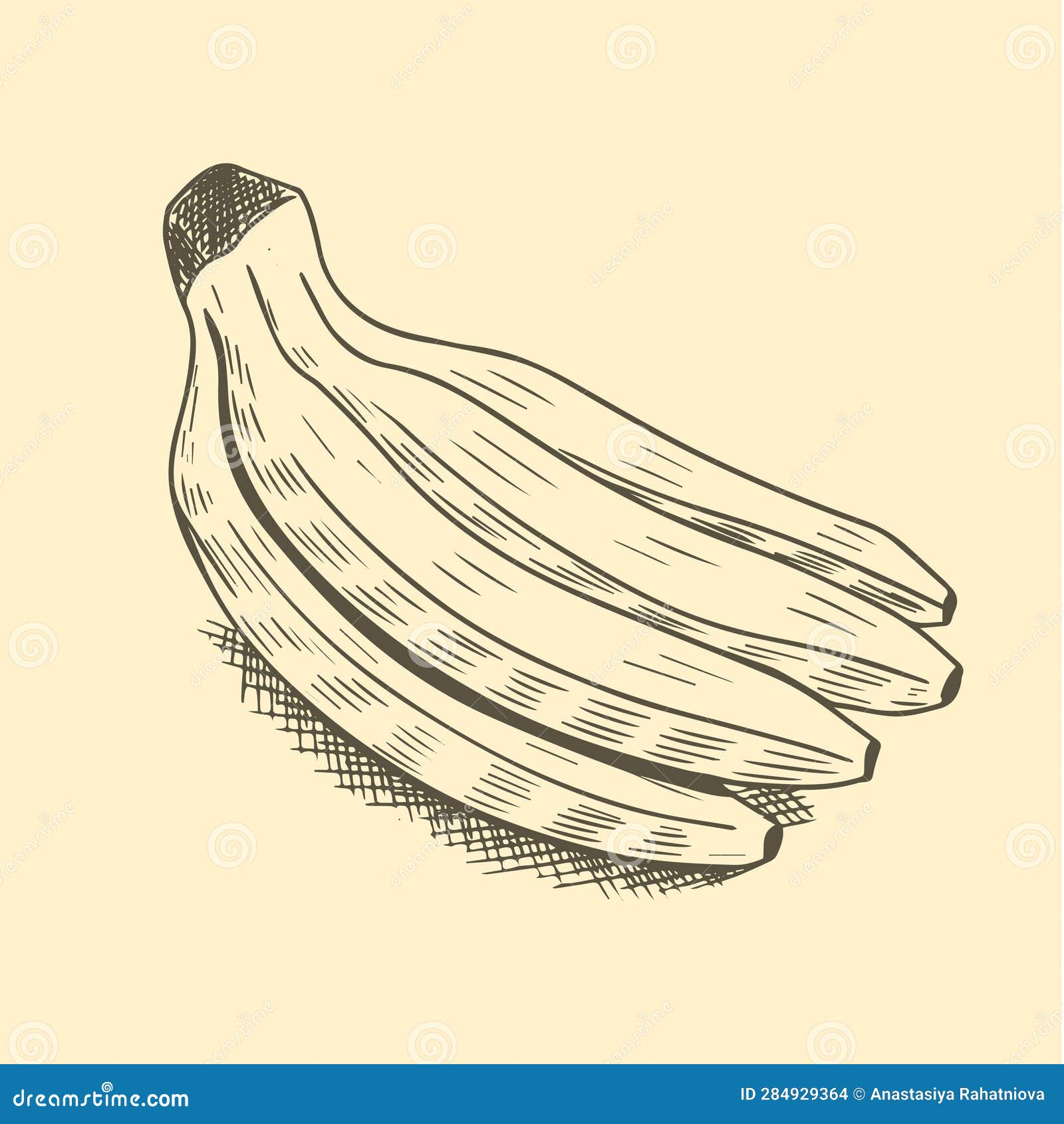 Banana Branch. Hand Drawn Sketch Vector Illustration. Stock Vector ...