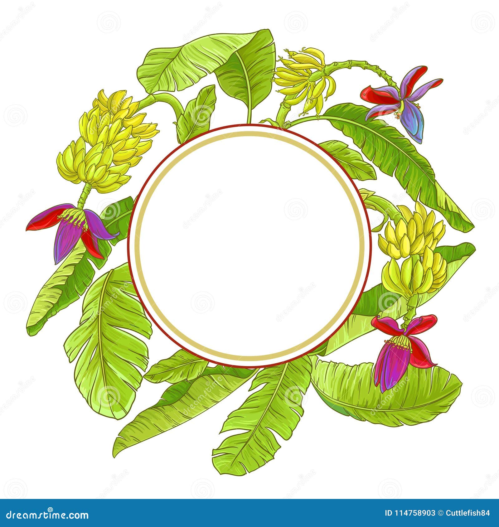 Banana vector frame stock vector. Illustration of nutrition - 114758903