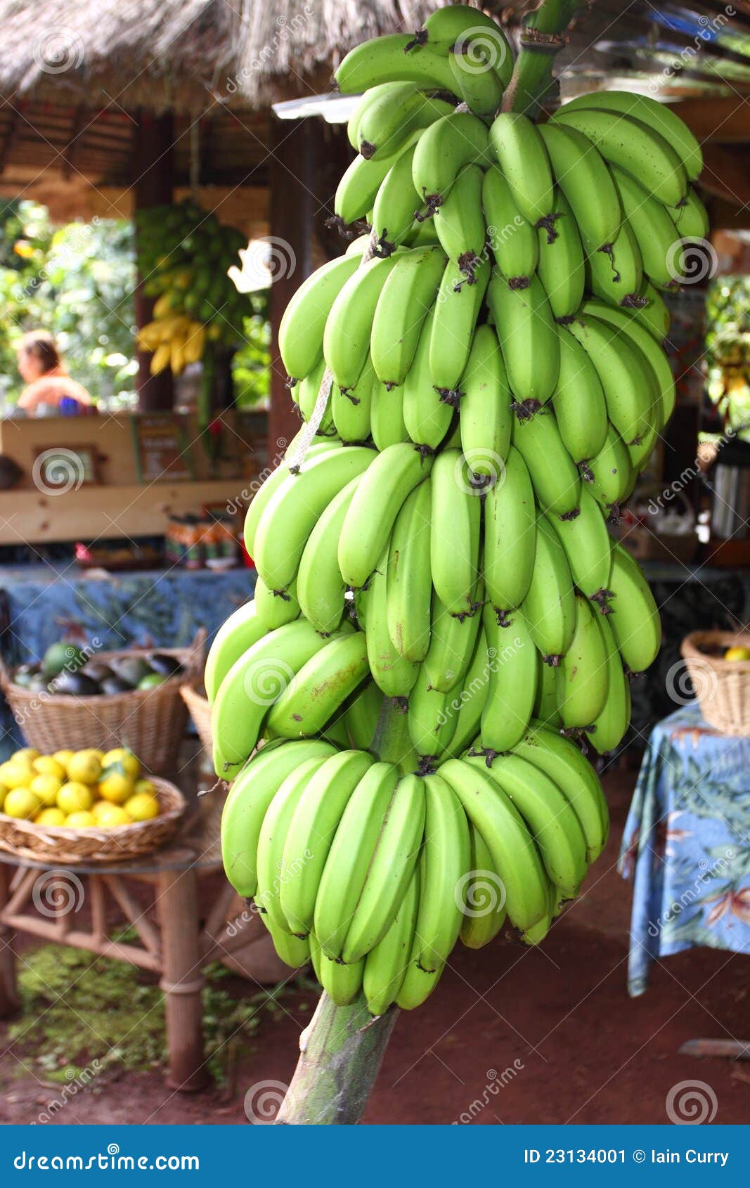 Banana Bunch stock image. Image of hana, vacation, health - 23134001