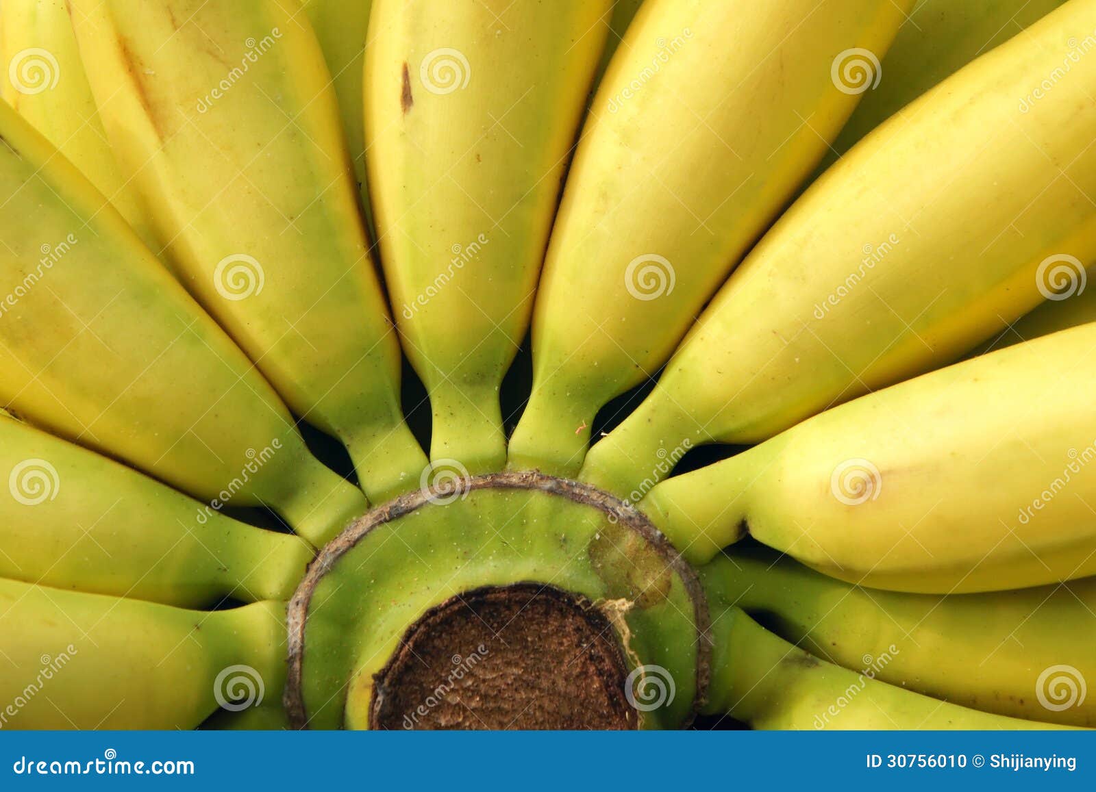 Banana stock photo. Image of bananas, fruit, ripe, close - 30756010