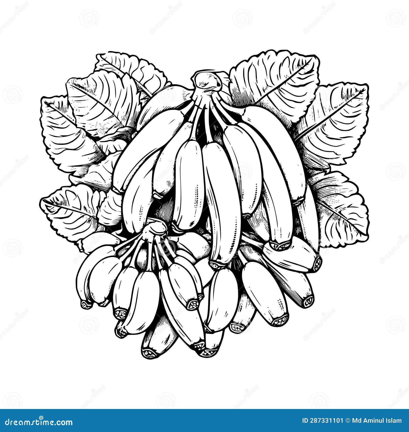 Banana Coloring Page for Kids- Printable Quality Stock Vector ...