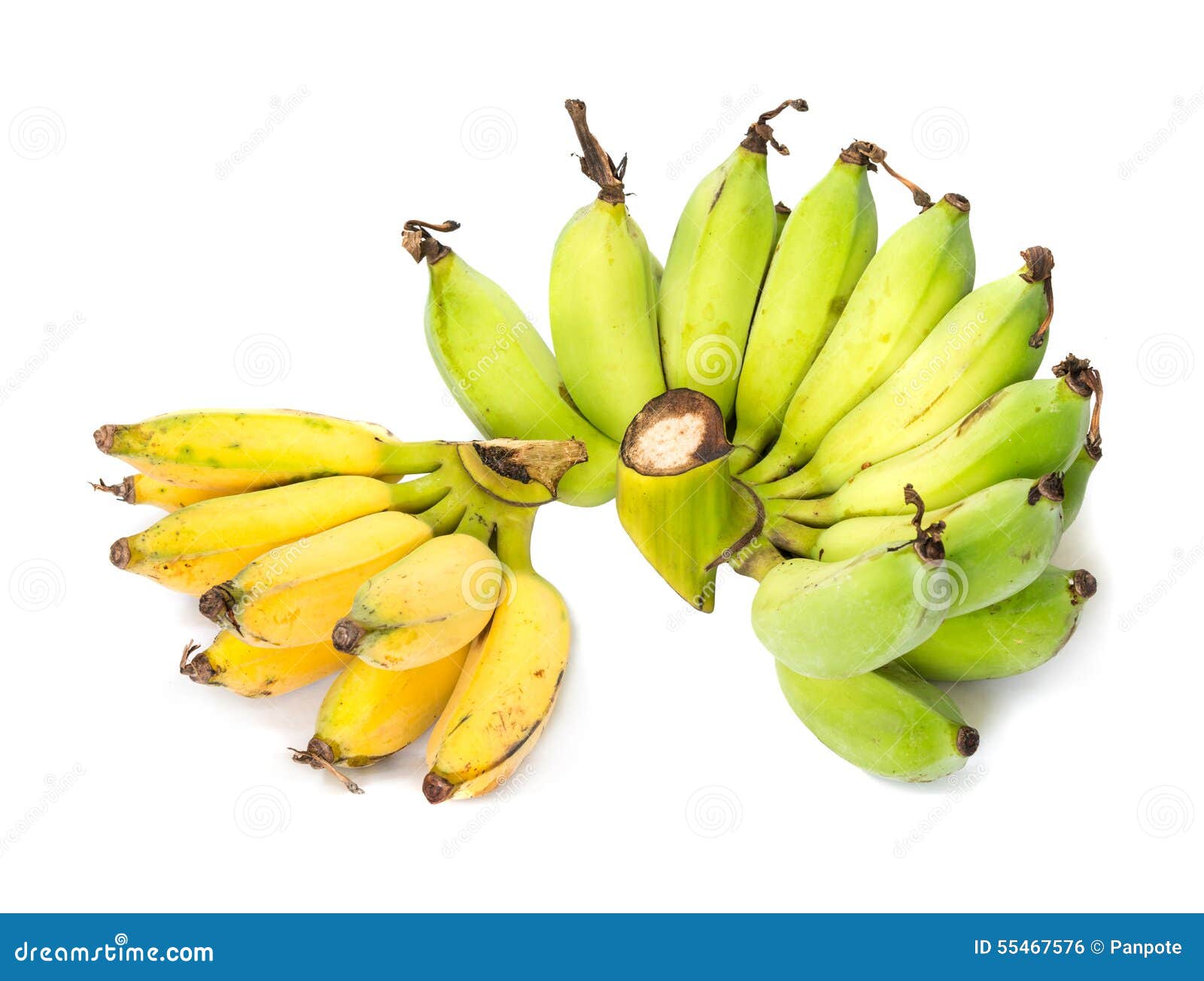 180 Banana Comparison Stock Photos - Free & Royalty-Free Stock Photos ...