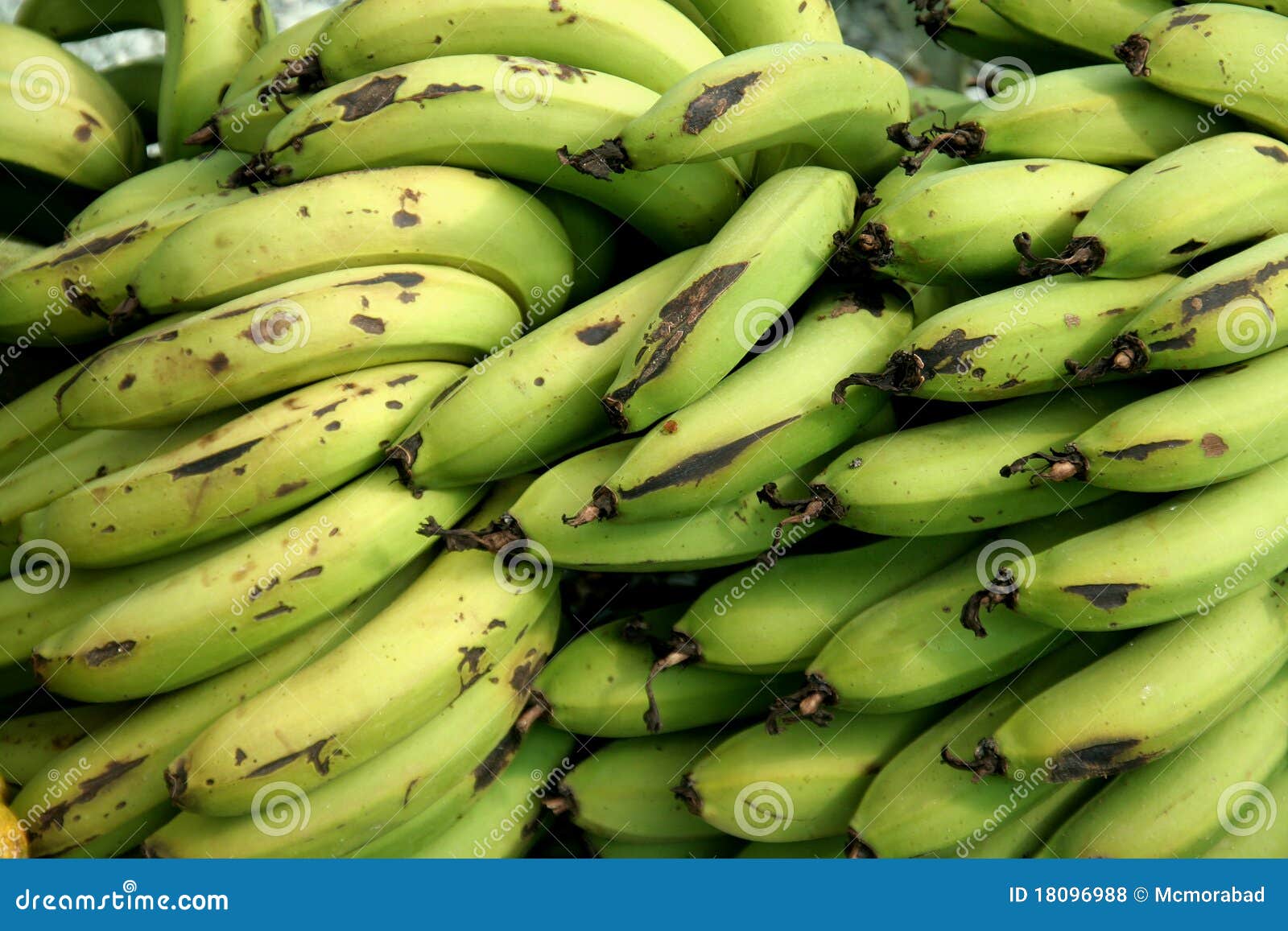 Banana Crop stock photo. Image of unripe, food, banana - 18096988