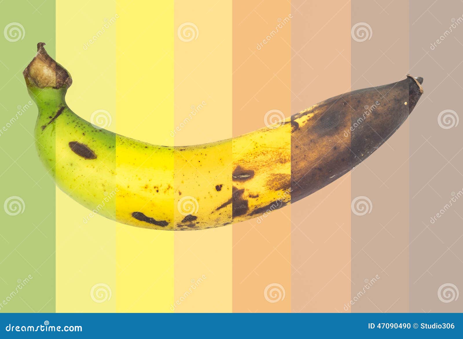 Banana stock photo. Image of change, difference, colour - 47090490
