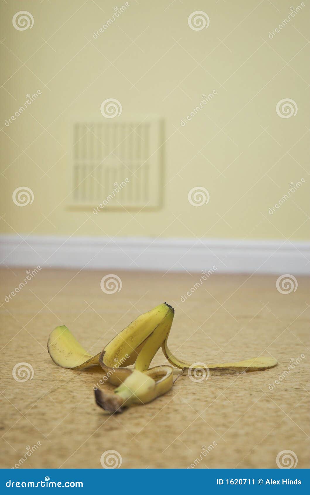 Banana Danger! stock image. Image of injury, banana, discarded - 1620711