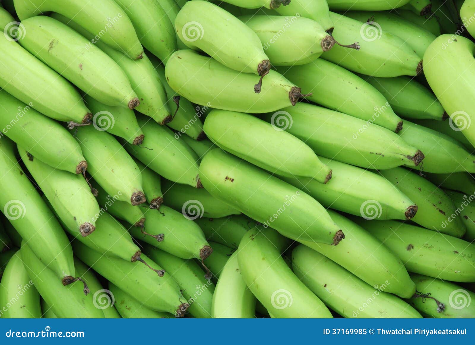 Banana stock image. Image of aromatic, refresh, asia - 37169985